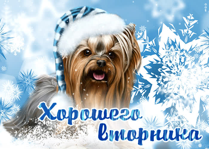 Чарующая открытка с собачкой Хорошего вторника- Скачать бесплатно на ...