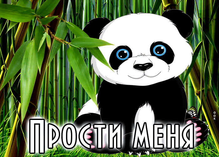 Чудесная открытка с пандой Прости меня - Скачать бесплатно на otkritkiok.ru