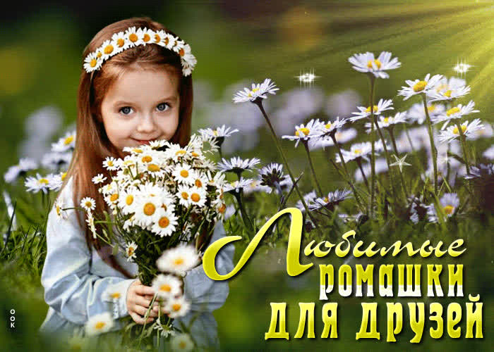 Искрящаяся и сияющая открытка Любимые ромашки для друзей - Скачать ...
