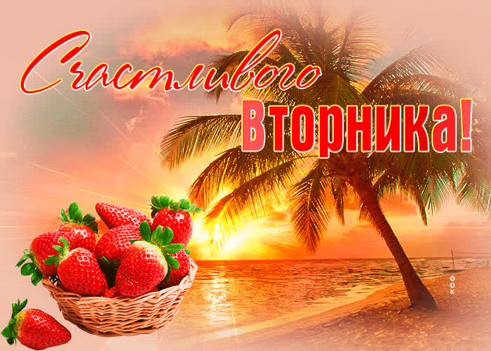 Прикольная открытка с вторником- Скачать бесплатно на otkritkiok.ru