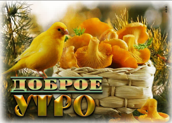 Роскошная открытка с желтой птичкой Доброе утро- Скачать бесплатно на ...