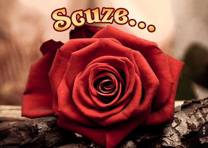 Scuze- Скачать бесплатно на otkritkiok.ru