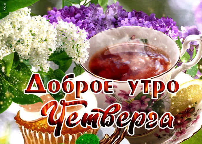 Живая открытка с сиренью Доброе утро четверга- Скачать бесплатно на ...