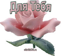 Открытка хризантемы для вас! - Скачать бесплатно на otkritkiok.ru